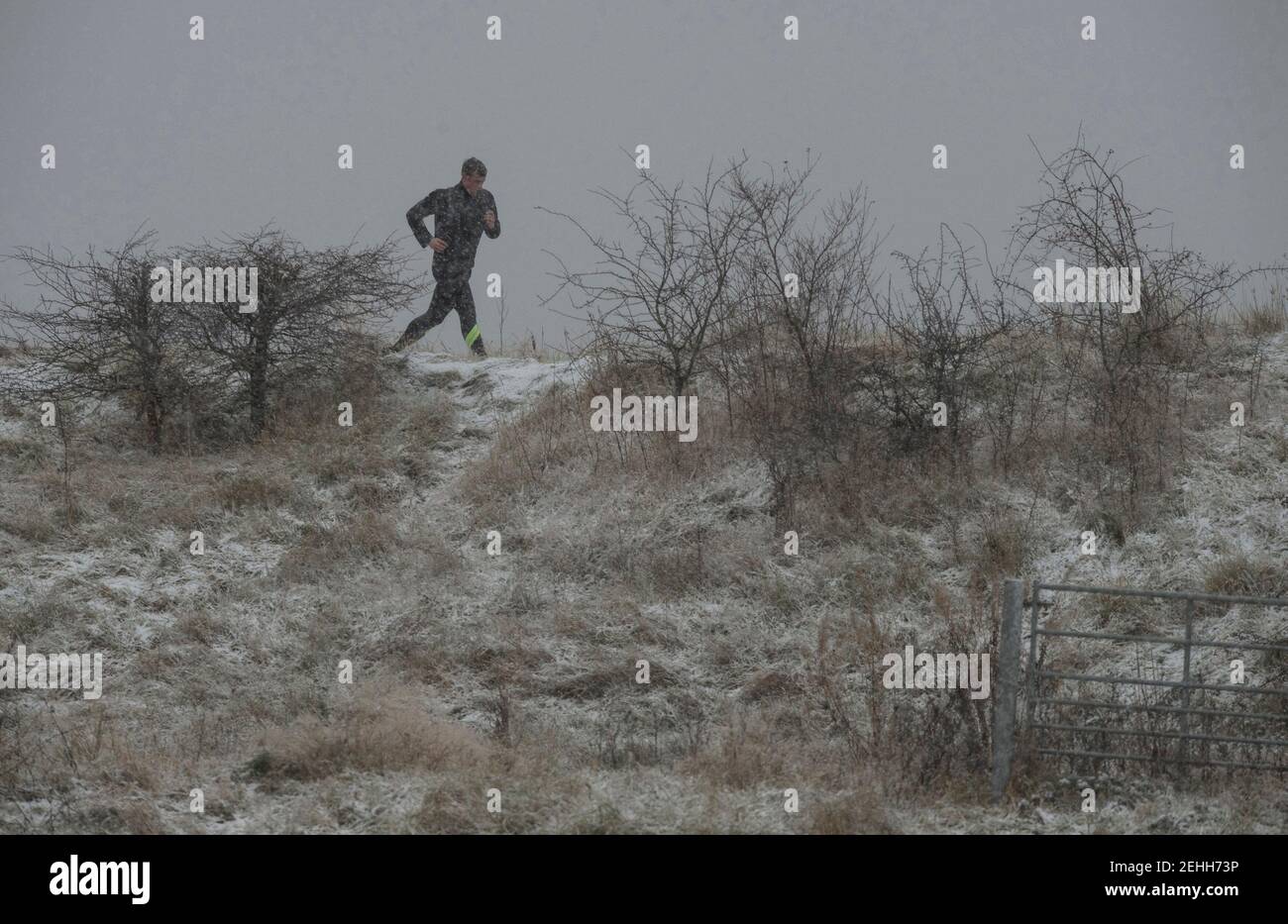 Rainham marshes firing range hi-res stock photography and images - Alamy