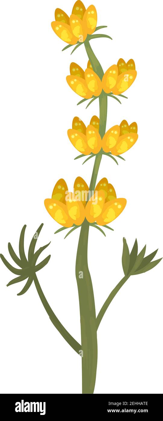 yellow flower design, natural floral plant and ornament theme Vector ...