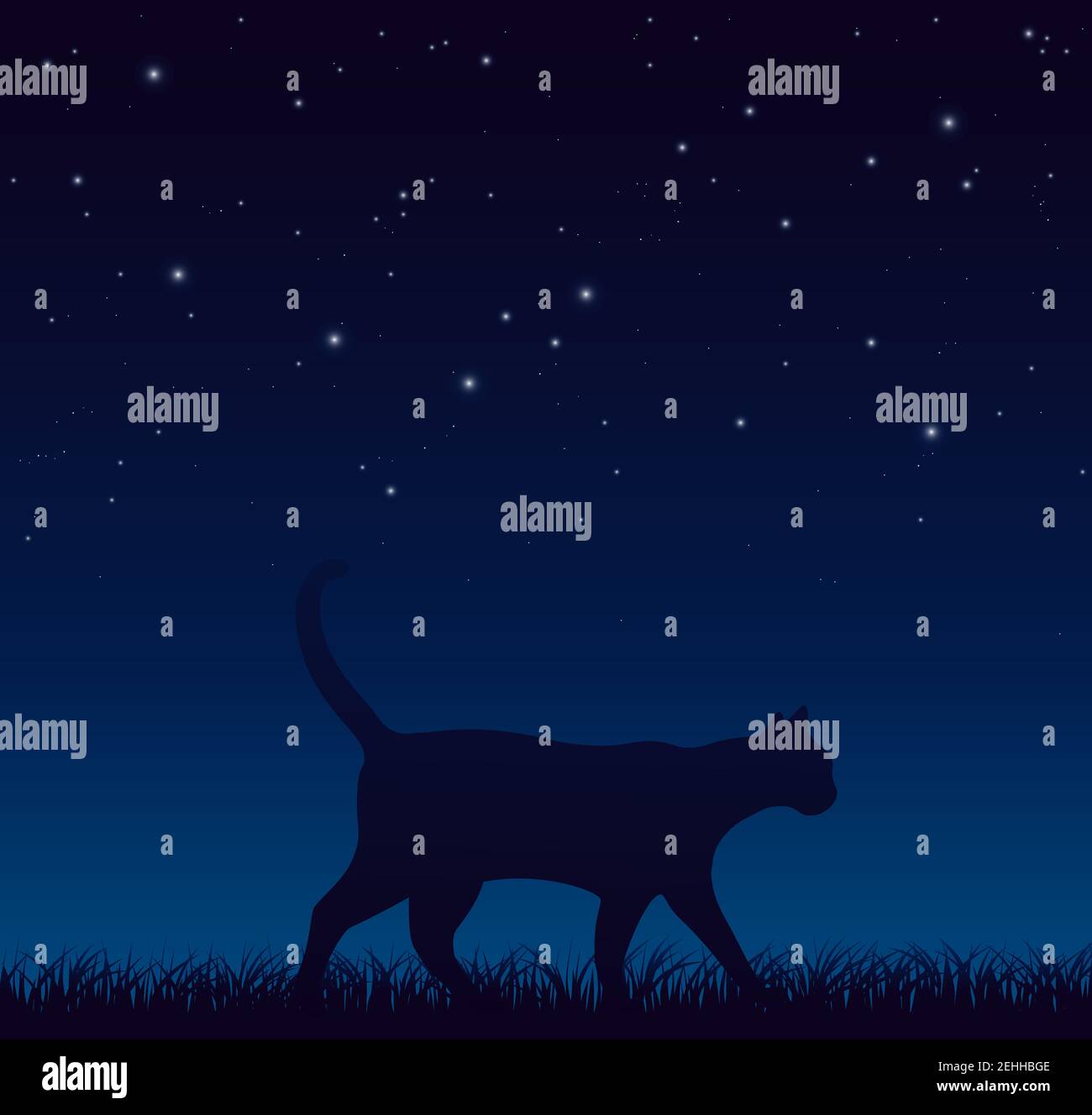 Cat kitten walking on Stock Vector Images - Alamy