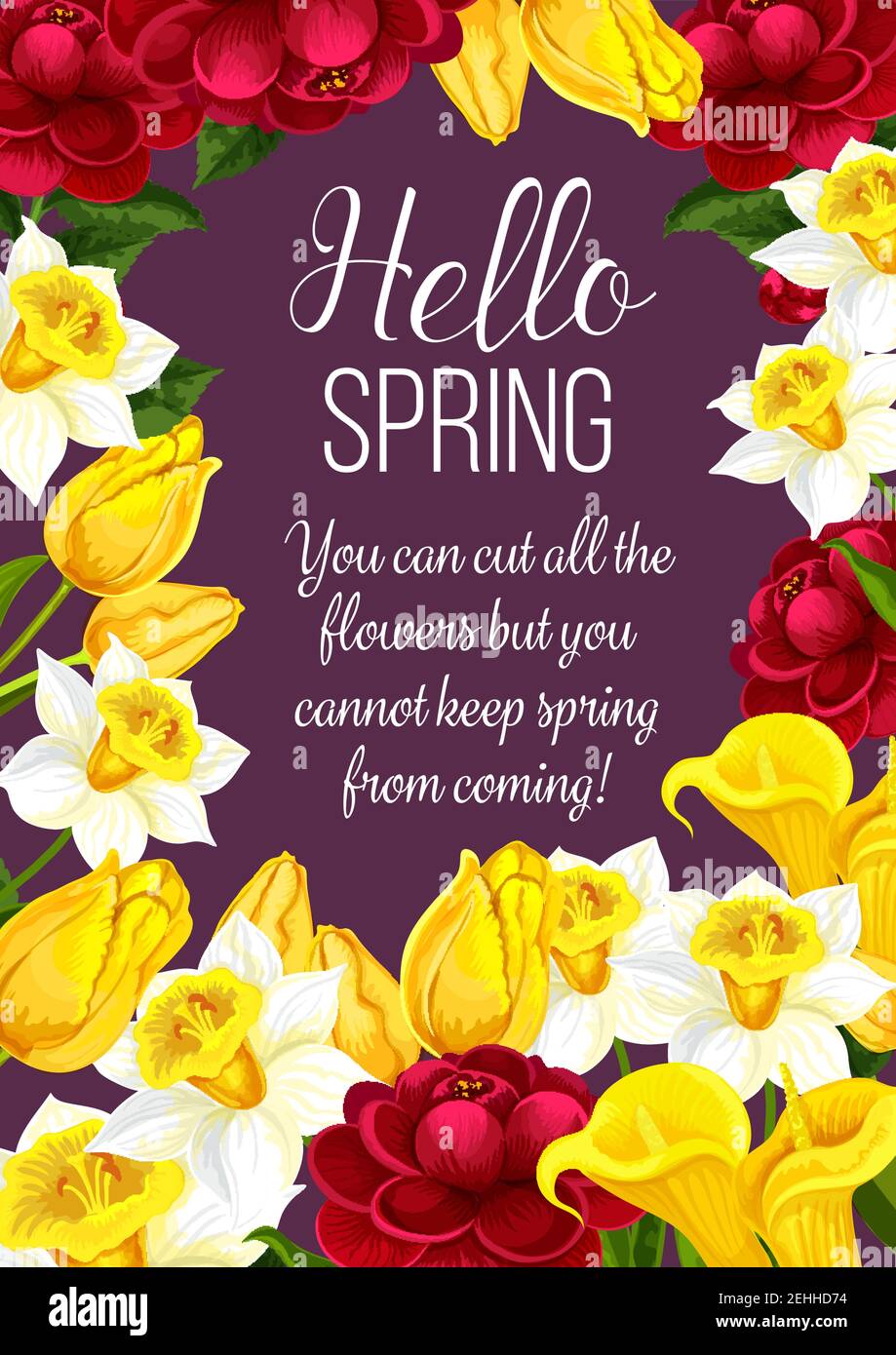 Hello Spring festive banner with Springtime season flower. Floral ...