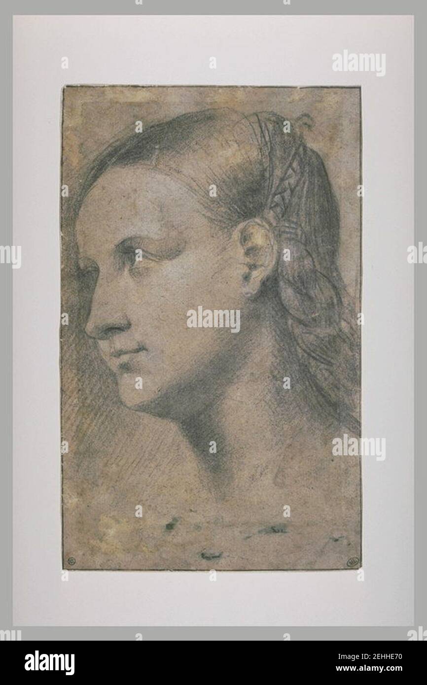PALMA Jacopo il Vecchio - Tête de jeune femme, RF 482, Recto Stock ...