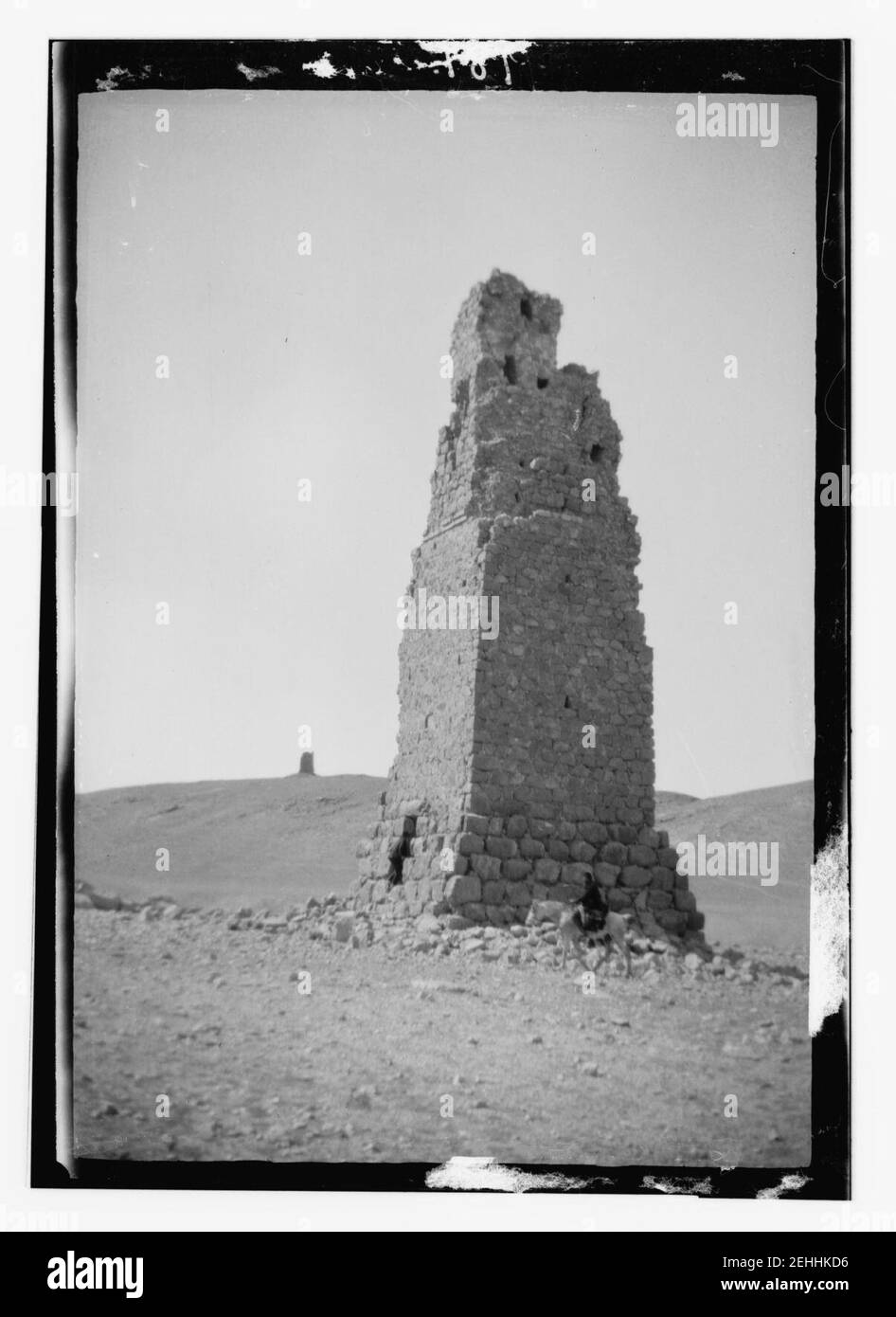 Palmyra (Tadmor). Highest one of the tower-tombs Stock Photo - Alamy