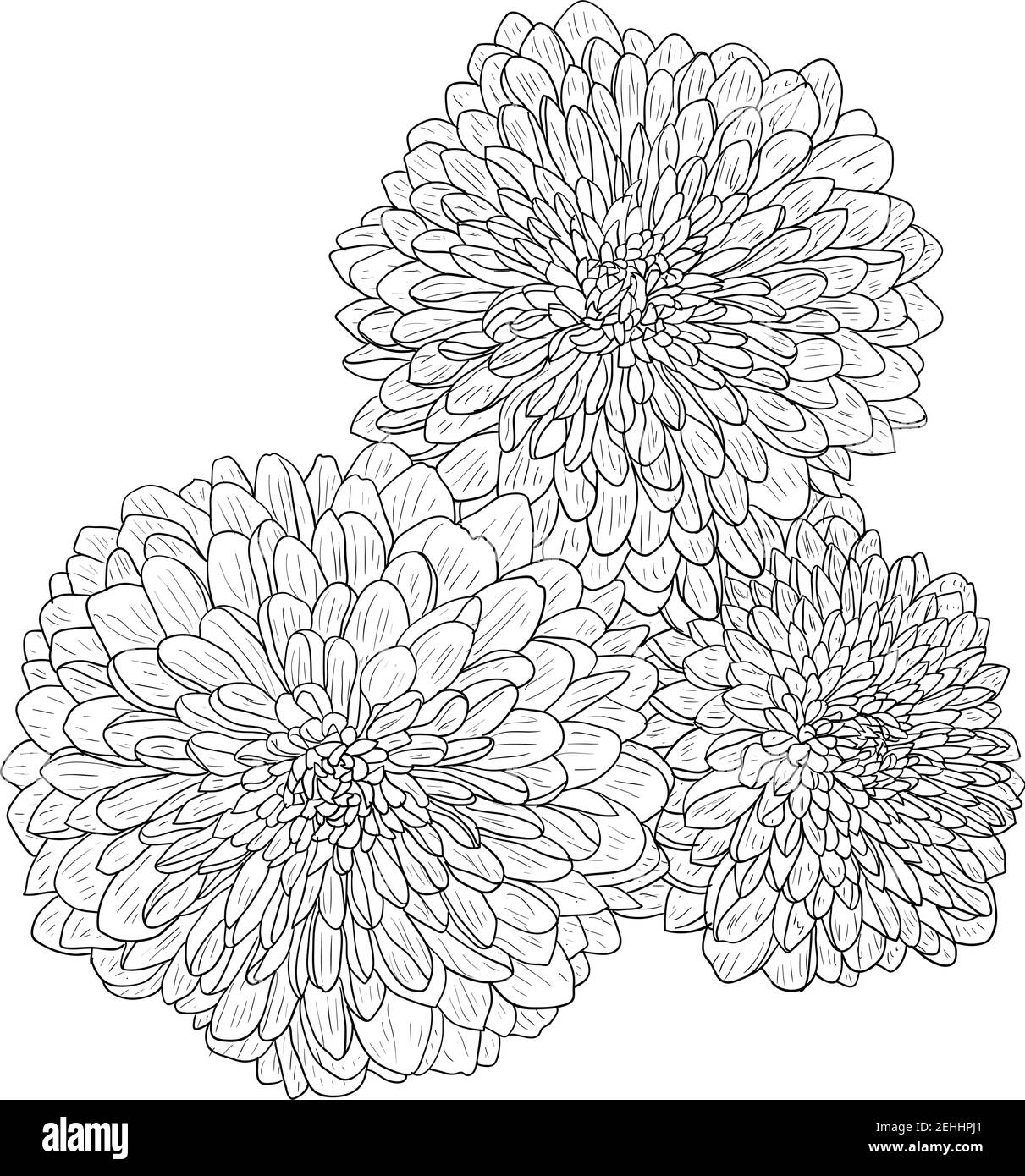 Beautiful sketch flower on white background Stock Vector Image & Art ...