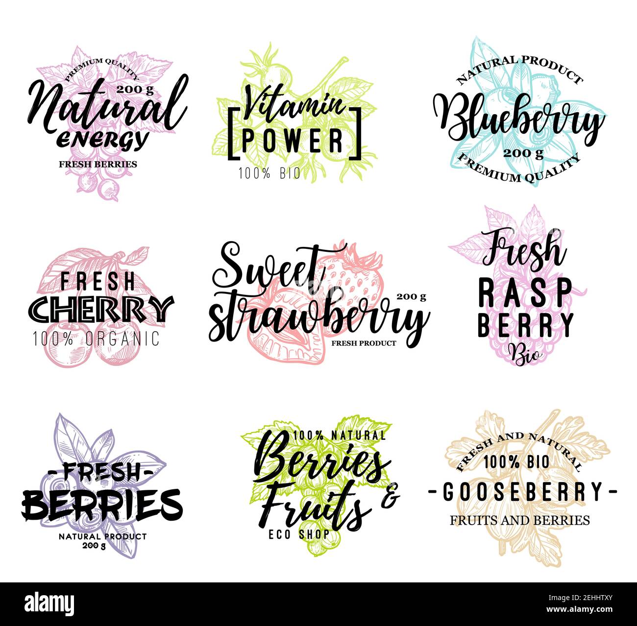 Berries lettering names of blueberry,cherry or strawberry and raspberry ...