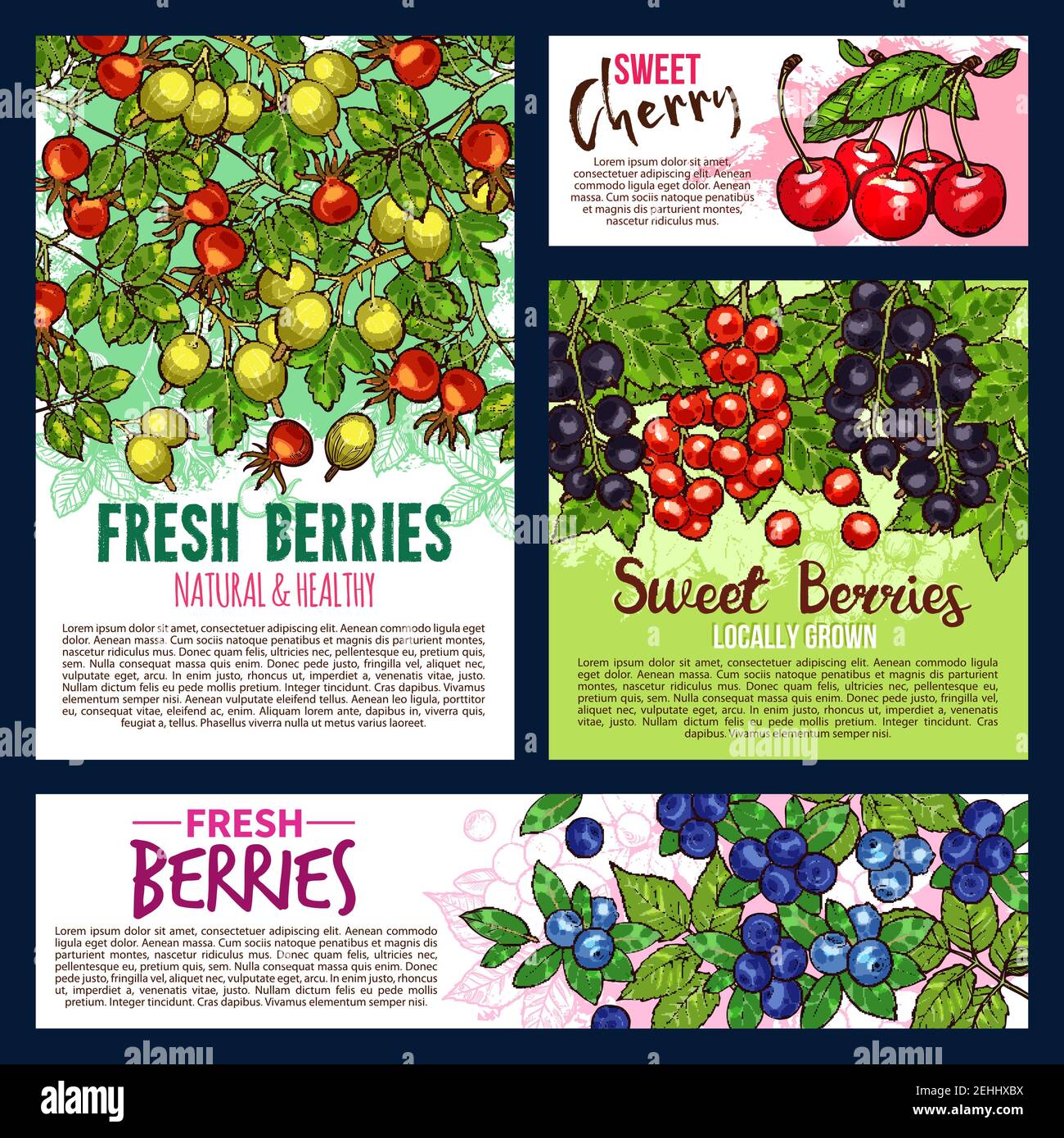 Briar leaf Stock Vector Images - Alamy