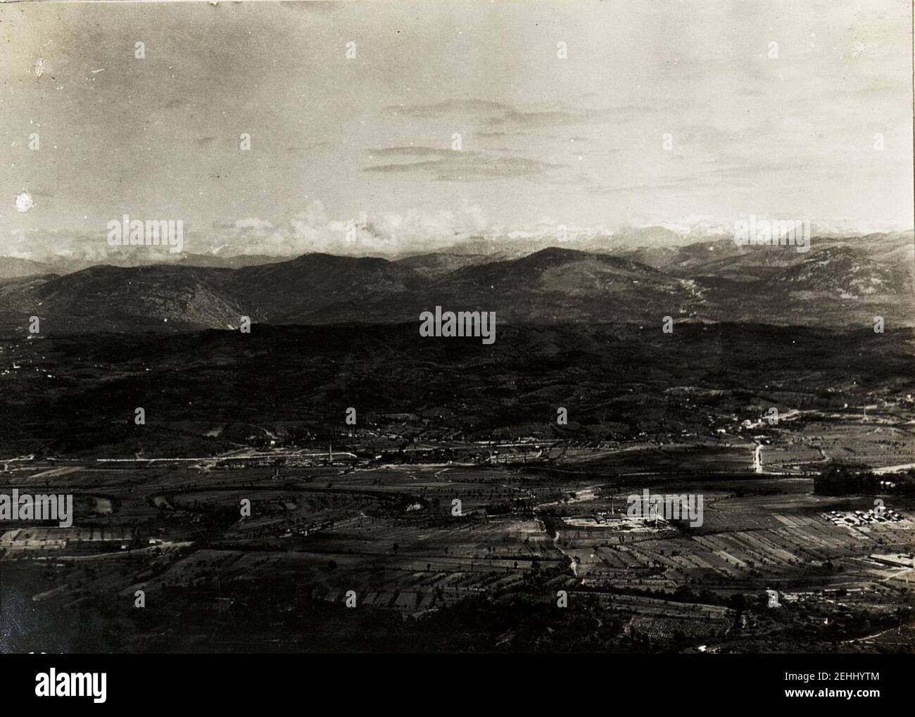 Fajti Hrib High Resolution Stock Photography and Images - Alamy