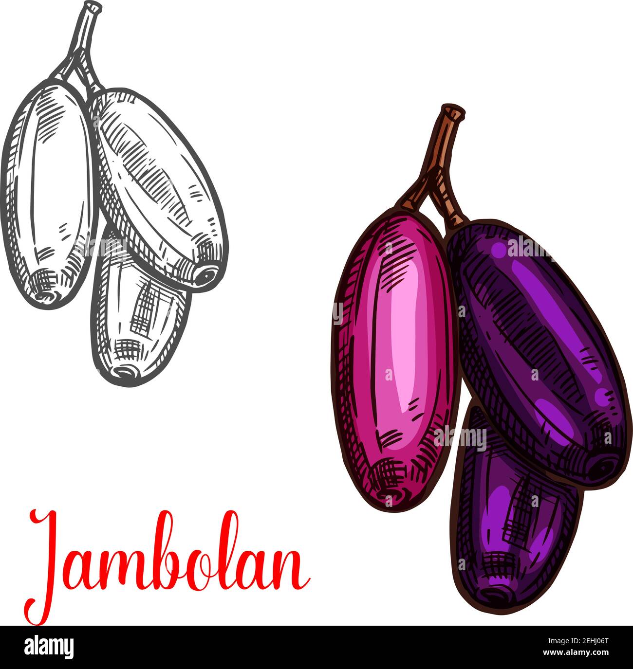 Java j Stock Vector Images - Alamy