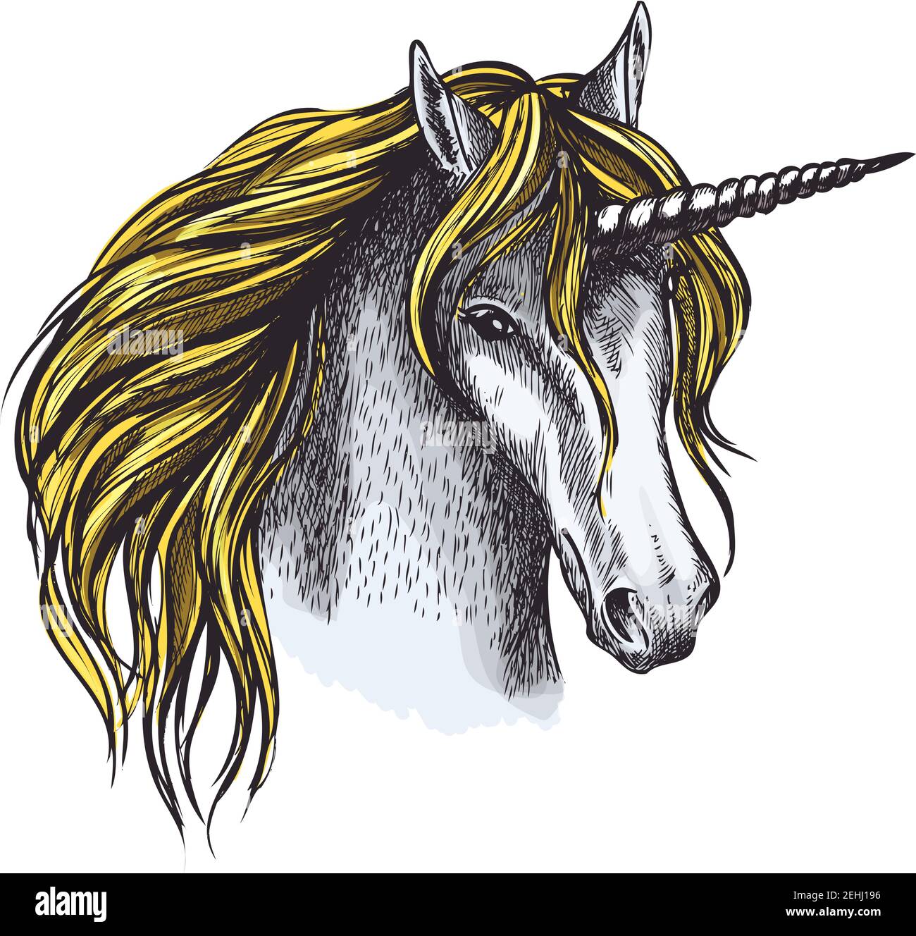 Unicorn horse sketch of magic animal head with gold mane and twisted ...