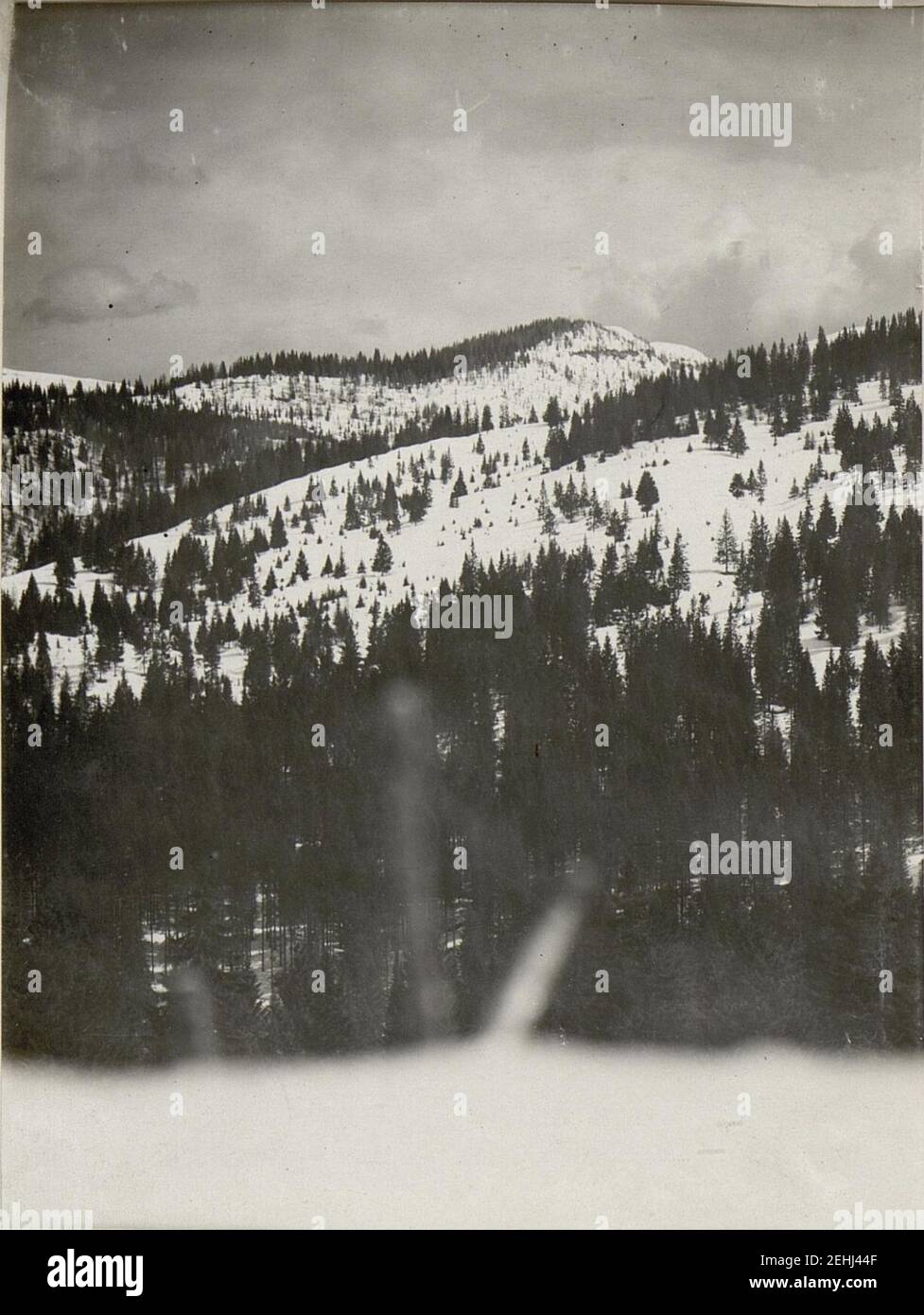 Panorama, Standpunkt bei Mga.2 Post ¤ 1444. (4. Teilbild zu WK1 ALB083 ...