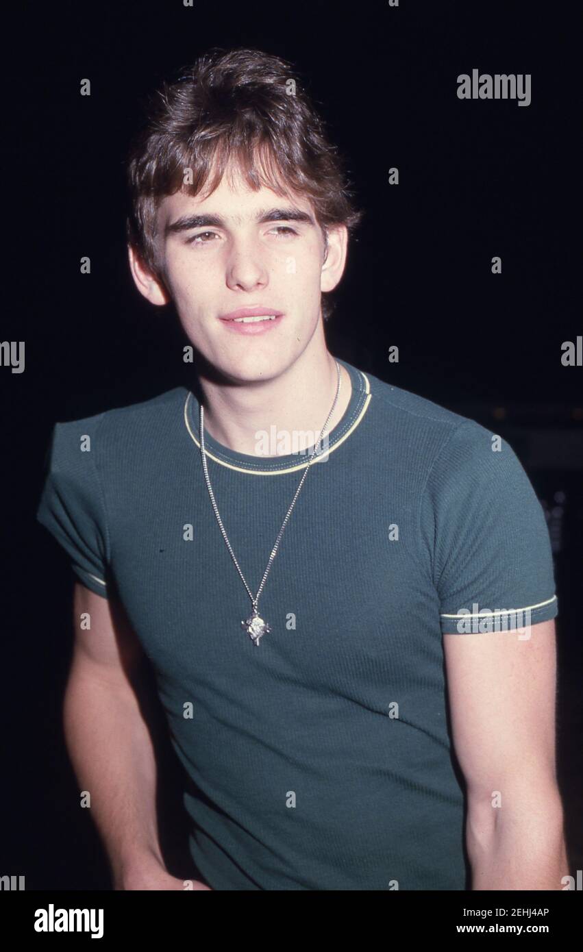 Matt Dillon Circa 1981. Credit: Ralph Dominguez/MediaPunch Stock Photo - Alamy