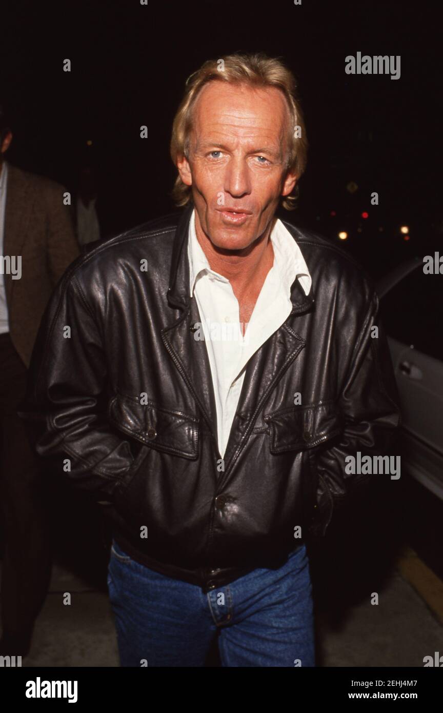 Paul Hogan circa 1988. Credit: Ralph Dominguez/MediaPunch Stock Photo ...