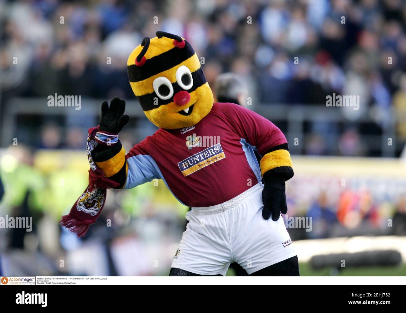 Burnley mascot hi-res stock photography and images - Alamy