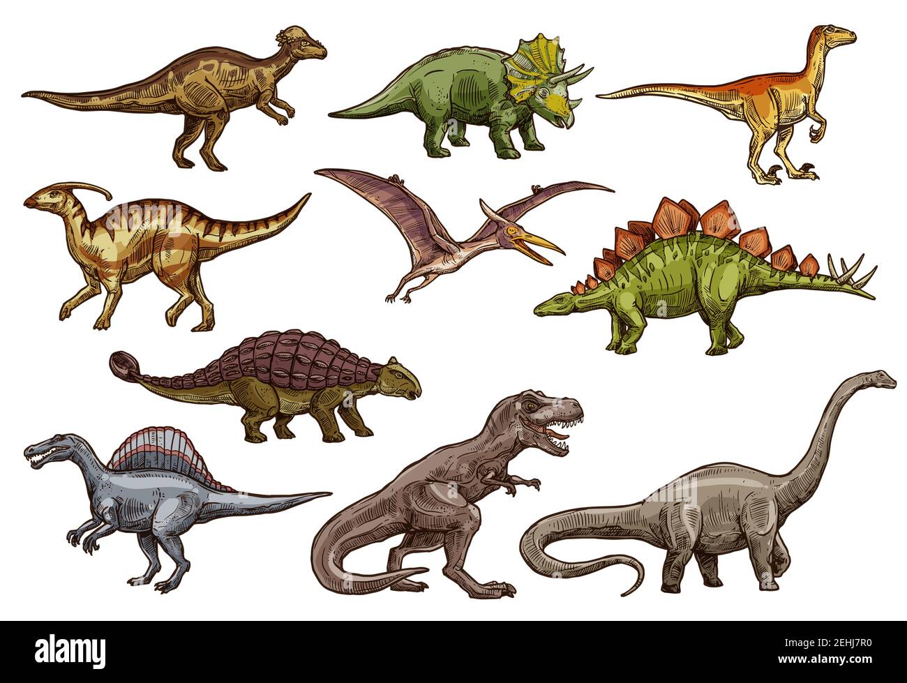Dinosaur animal icons of prehistoric reptile monsters. Dino sketches of ...