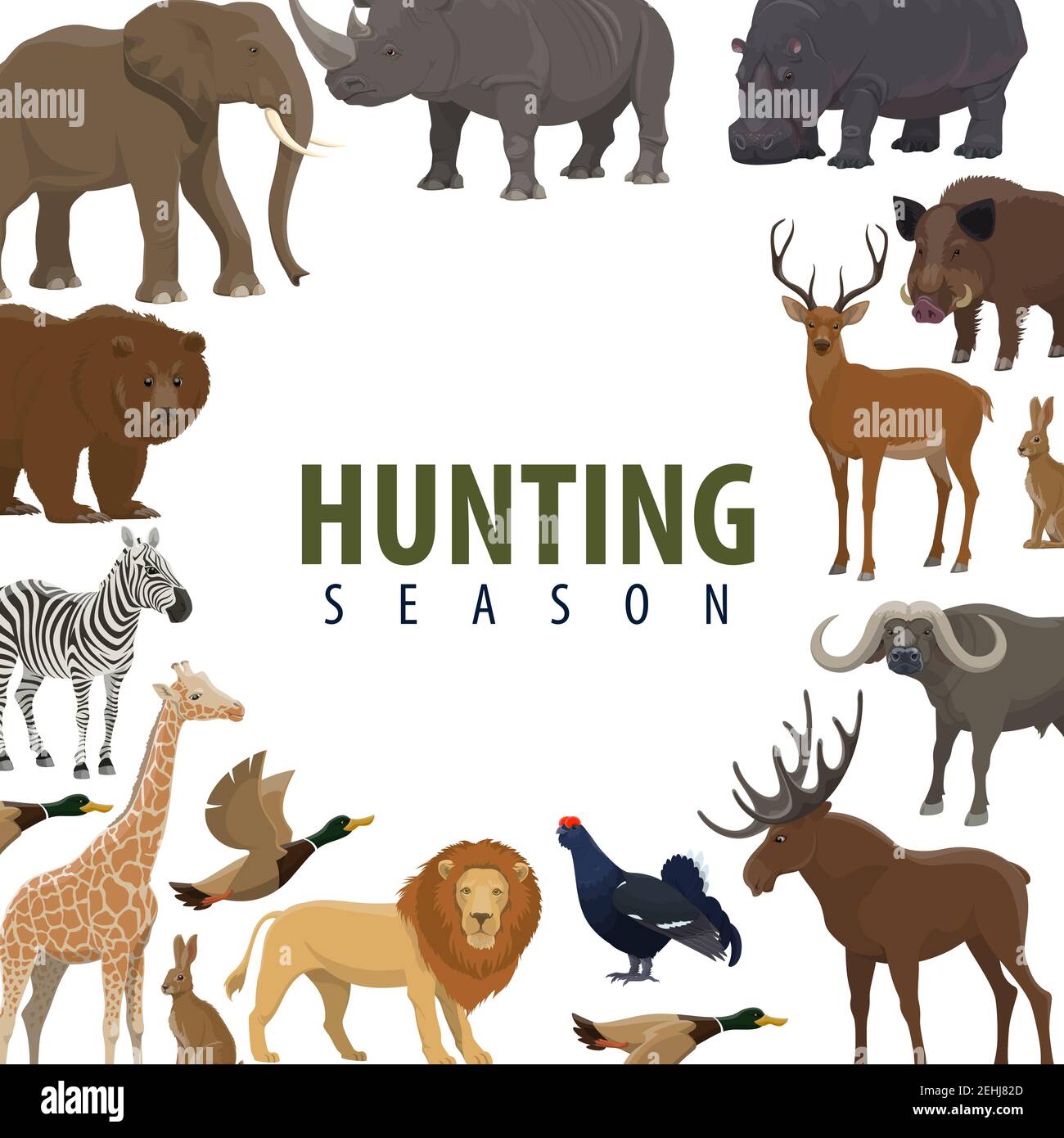 Hunting sport season poster of wild animal and bird. Duck, bear and ...