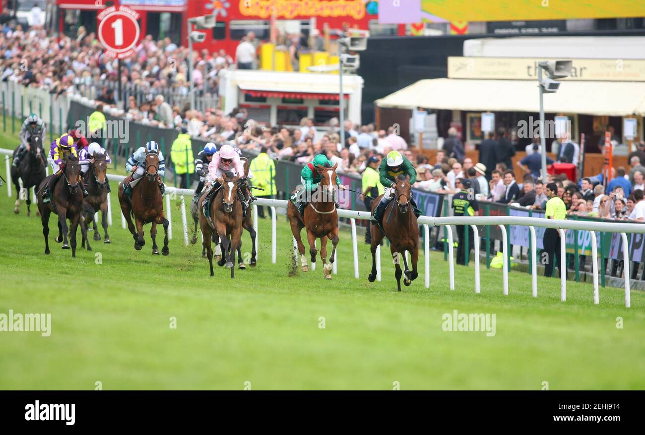 New approach horse hi-res stock photography and images - Alamy