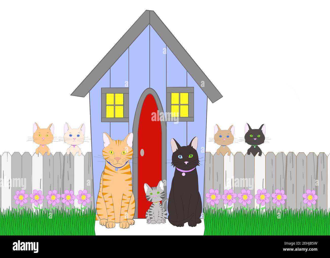 Cats fence hi-res stock photography and images - Alamy