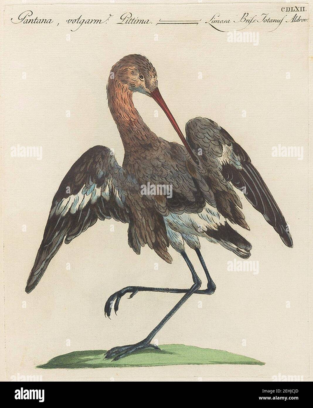 Pantana hi-res stock photography and images - Alamy