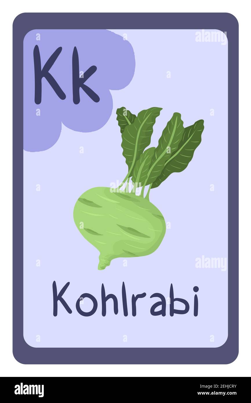 Abc food education flash card, Letter K - kohlrabi. Cartoon design ...