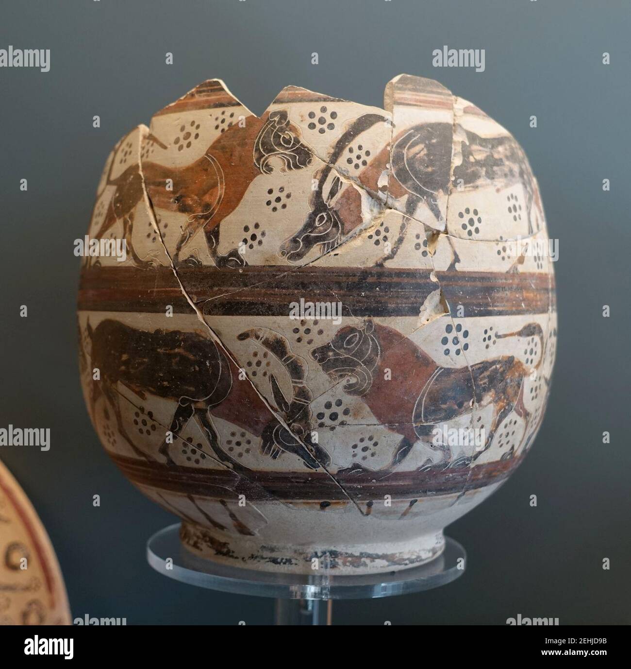 Panther, lions, steinbocks, and a stag grazing, Etrusco-Corinthian olpe ...