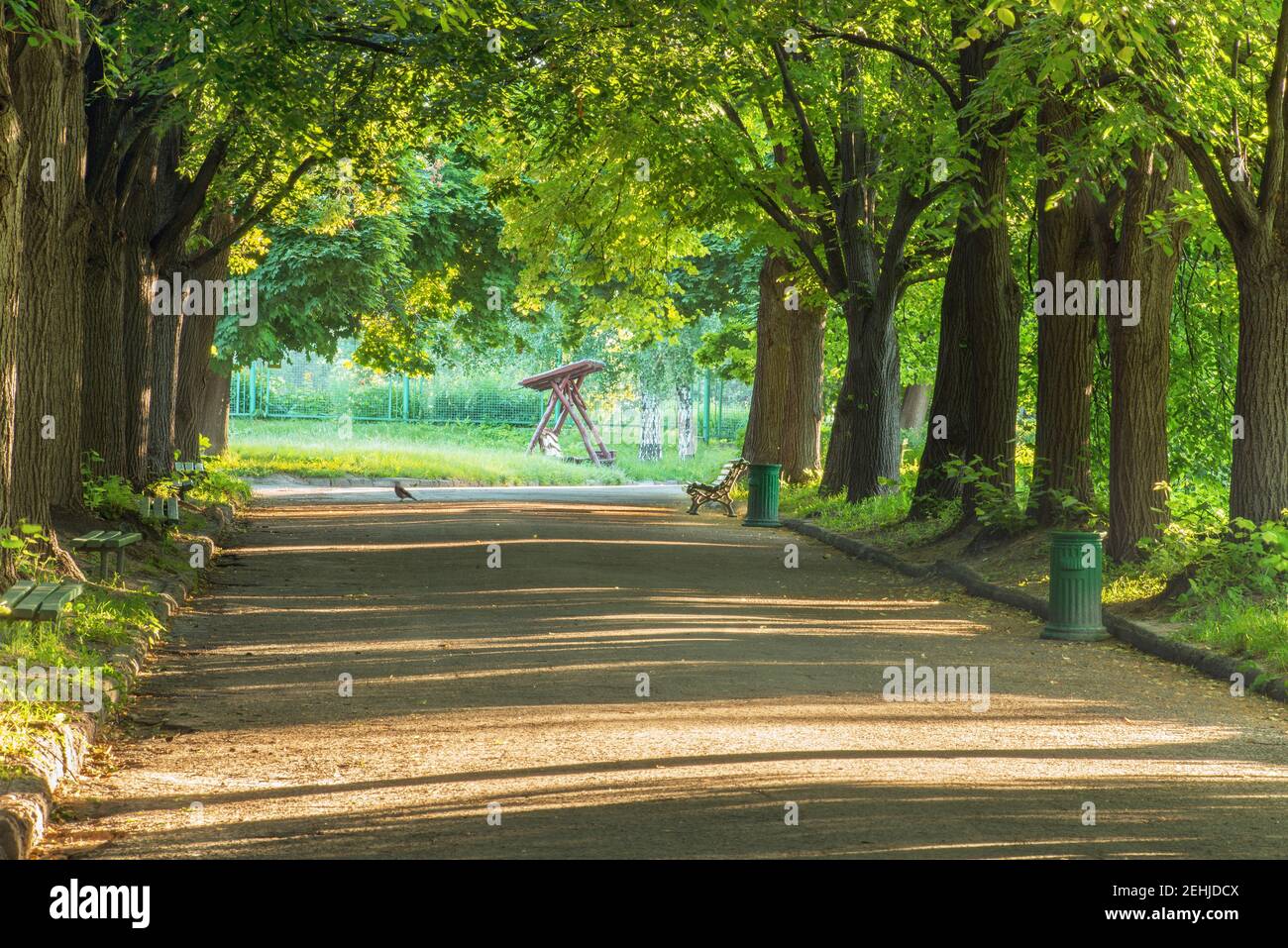 Oak alley in the botanical garden Stock Photo - Alamy