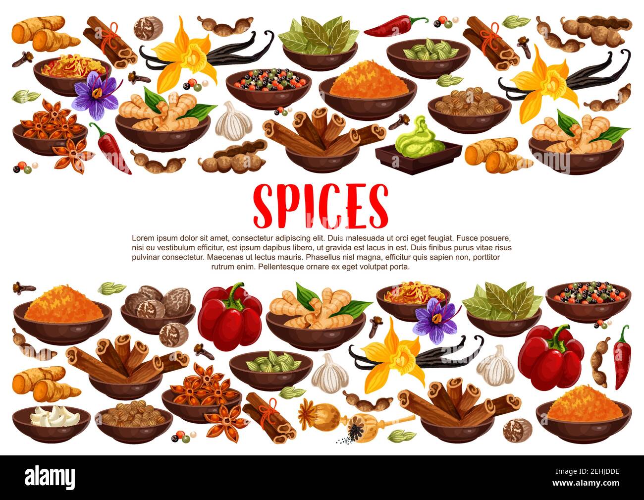 Fragrant spices and condiments from India. Ginger and cinnamon, bay ...