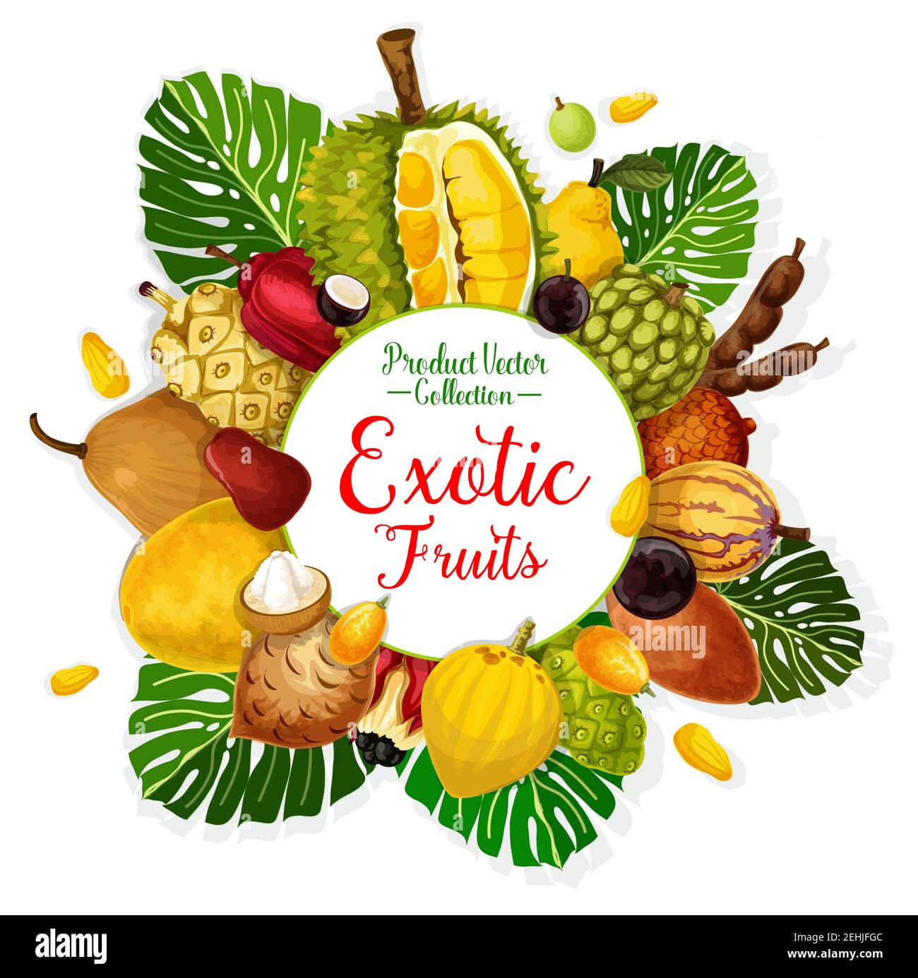 Exotic tropical fruits poster. Durian, pomelo and quince, cherimoya ...