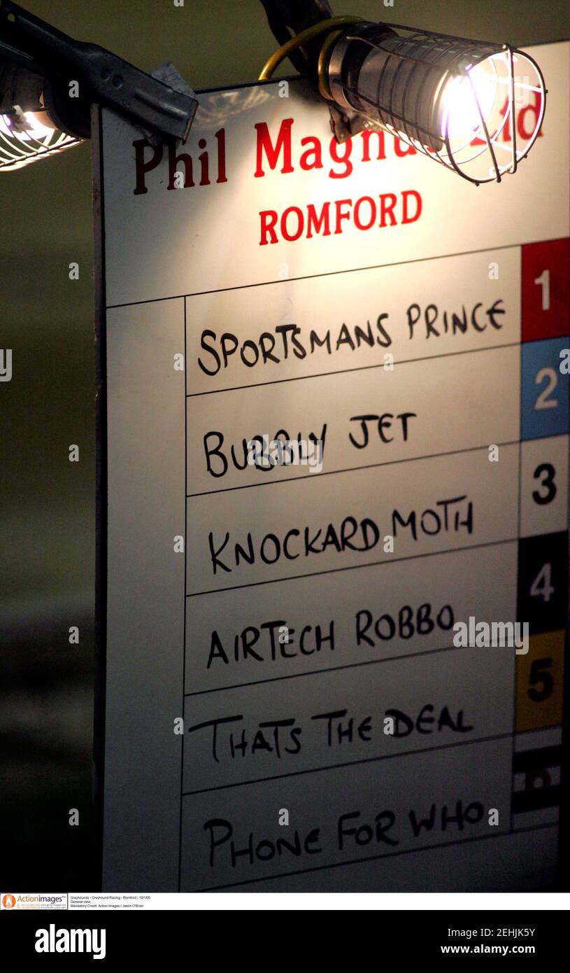 Romford greyhound racing hi-res stock photography and images - Alamy