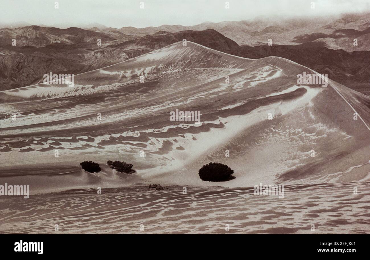High resolution sand dunes hi-res stock photography and images - Alamy
