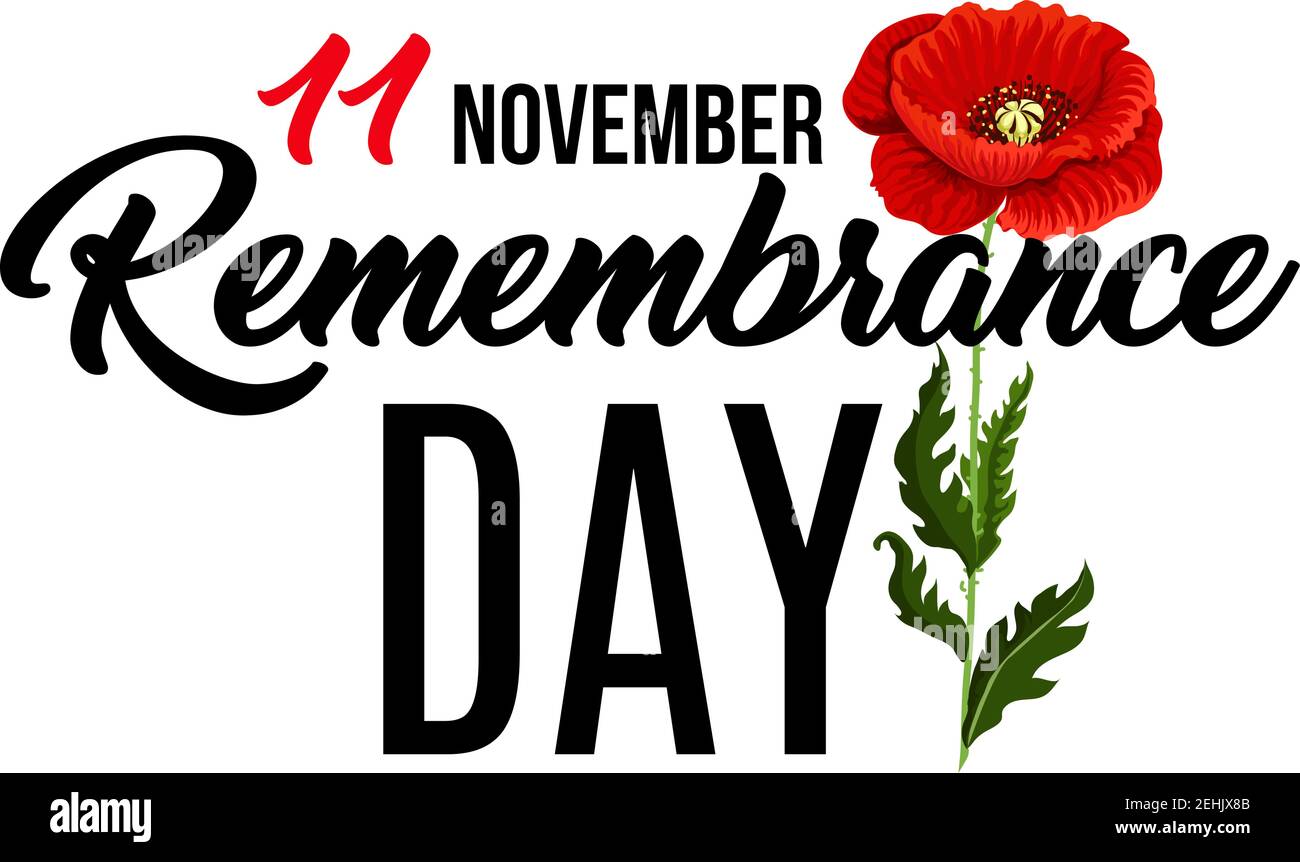 Vector poster for Remembrance day with poppy flower. Concept of 11 of ...
