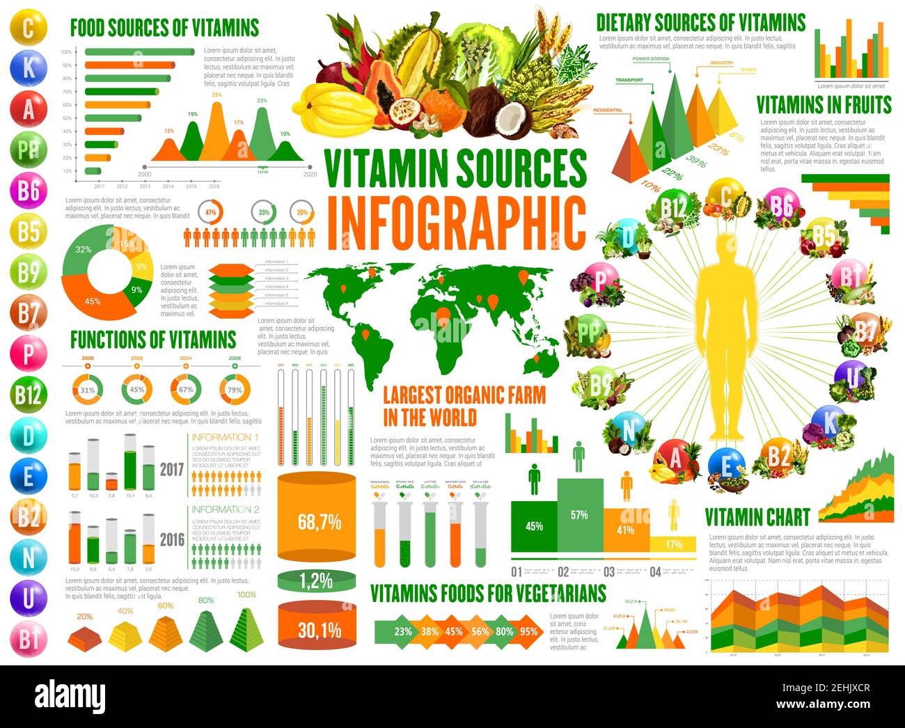 Vitamins Function Chart Vitamin Chart Healthy Food