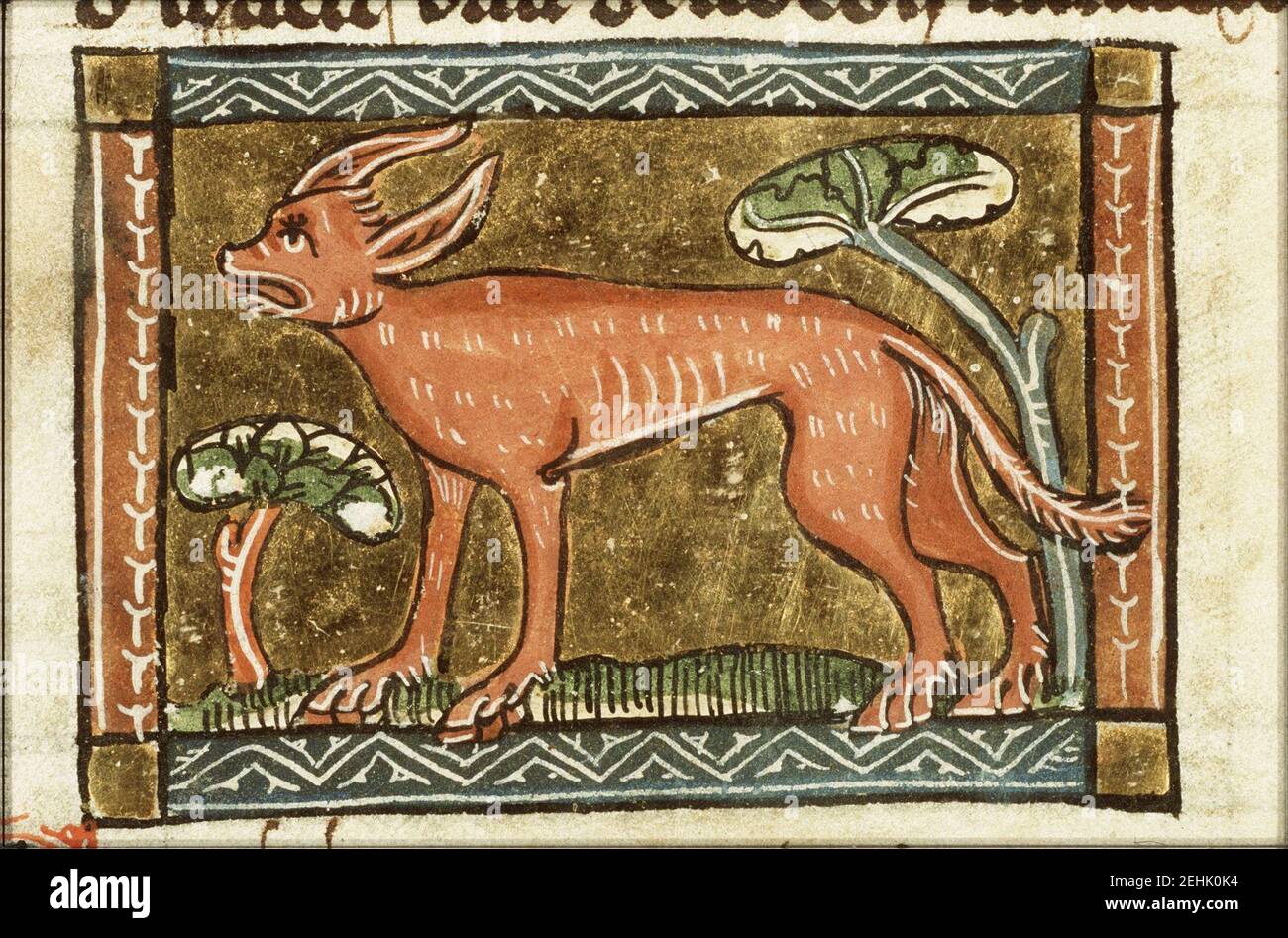 Papilio (jackal) - Der naturen bloeme - Jacob van Maerlant - KB KA 16 - 068r b1 Stock Photo - Alamy