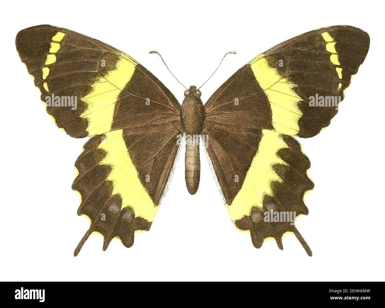 Garamas hi-res stock photography and images - Alamy