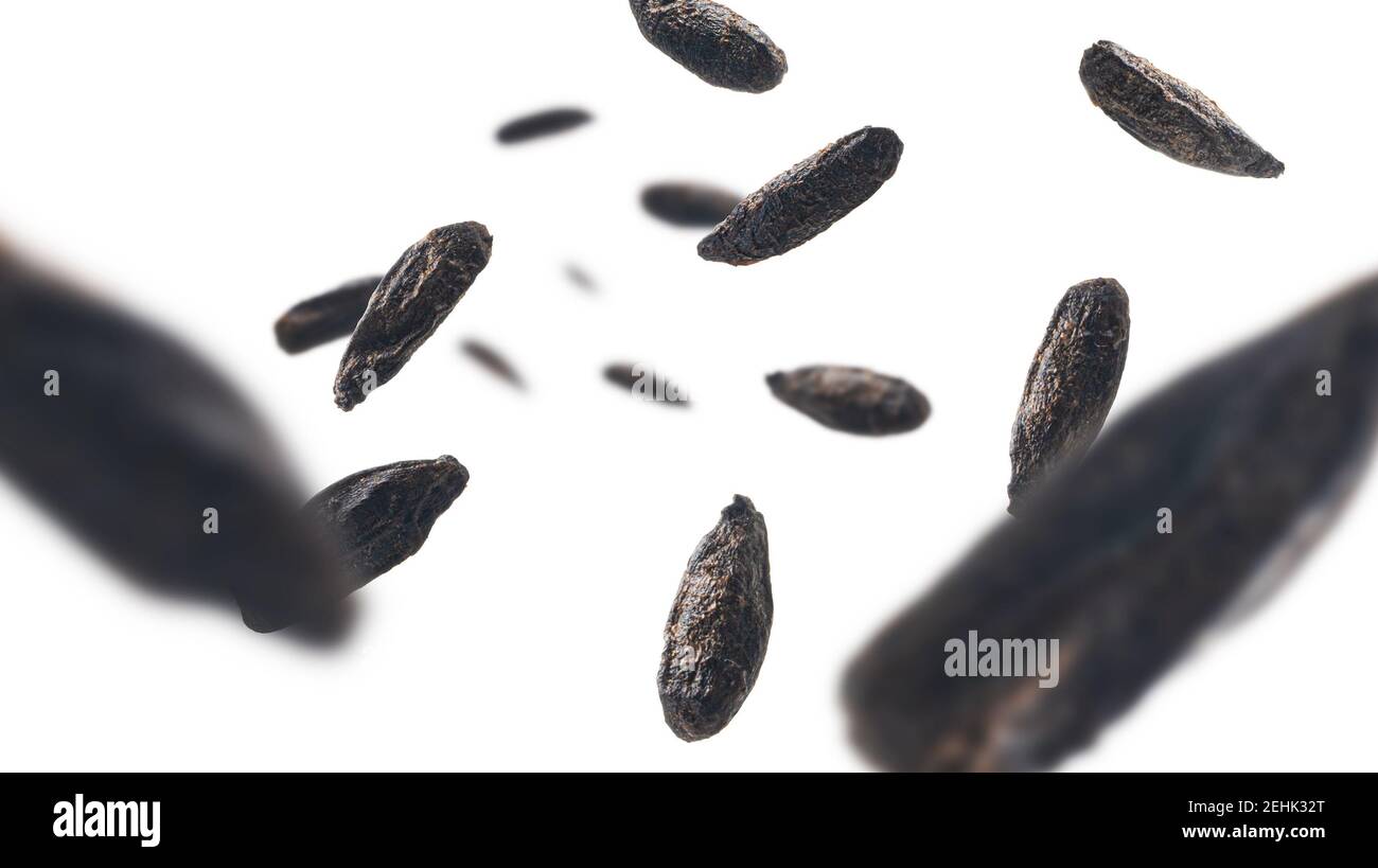 Roasted rye malt grains levitate on a white background Stock Photo - Alamy