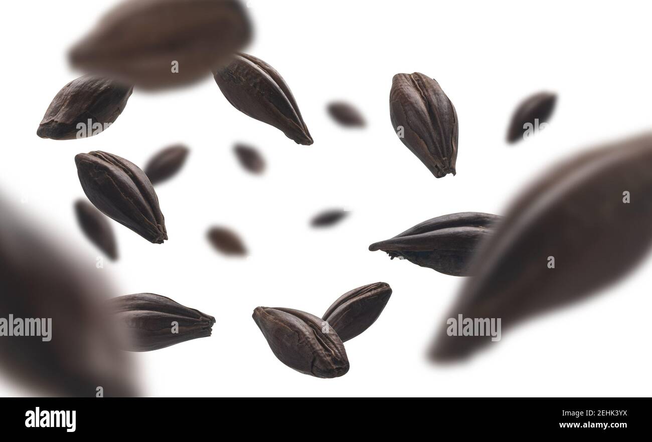 Roasted rye malt grains levitate on a white background Stock Photo - Alamy