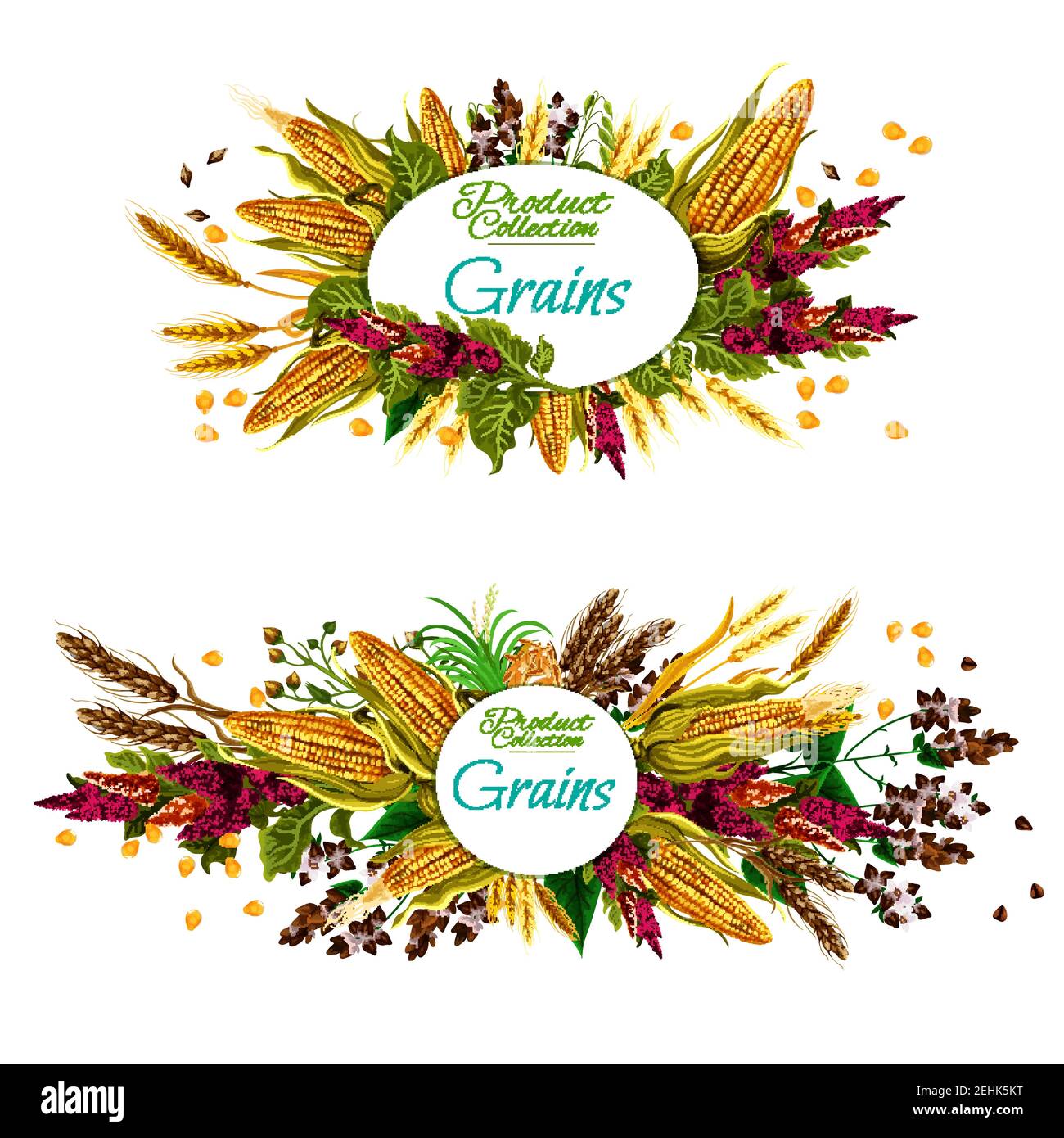 Millet seed Stock Vector Images - Alamy