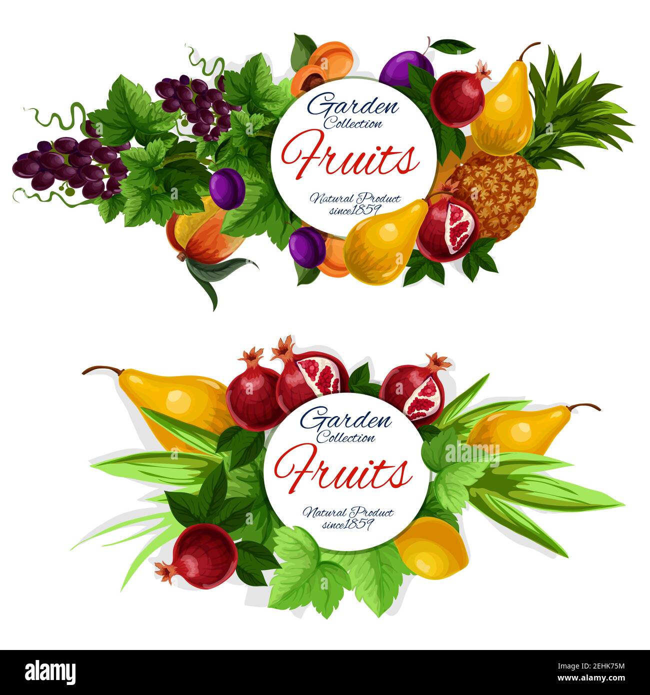 Fruit labels, tropical garden berry and green leaves. Pineapple, mango ...