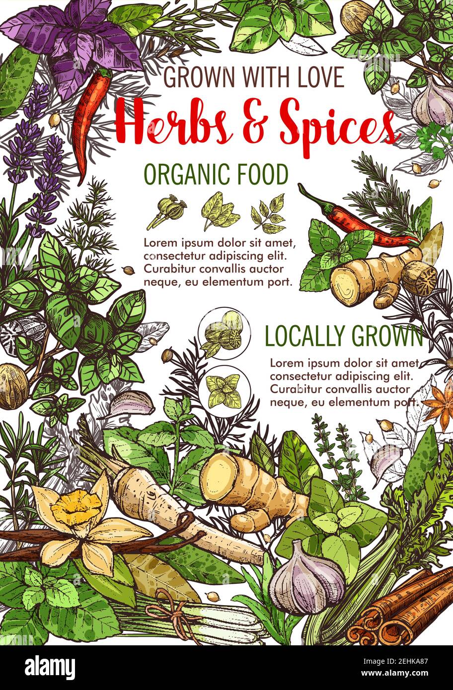 Cinnam Stock Vector Images - Alamy