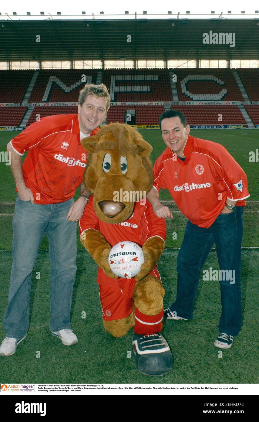 Roary lion hi-res stock photography and images - Alamy