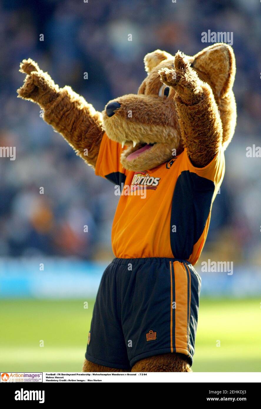 Wolverhampton Wanderers Mascot High Resolution Stock Photography and ...