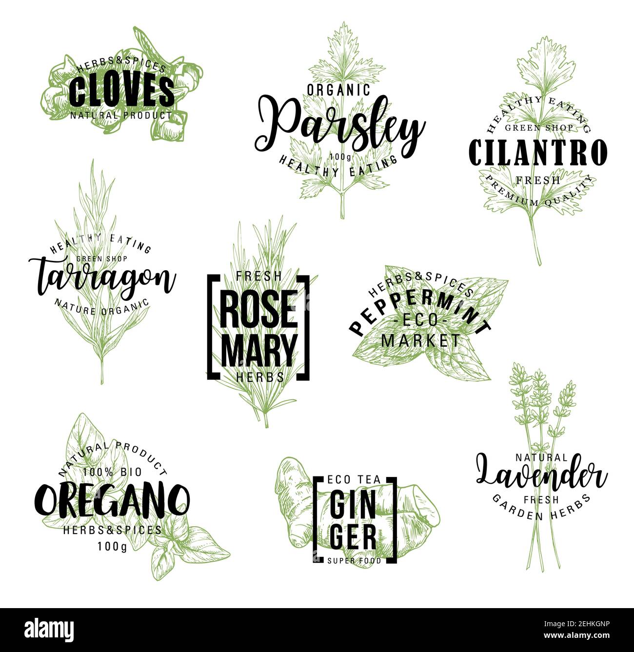 Spices and herbs lettering, natural food ingredient labels. Rosemary ...