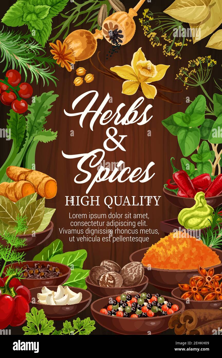 Organic spices and herbal seasonings in bowls, cooking design. Vector ...