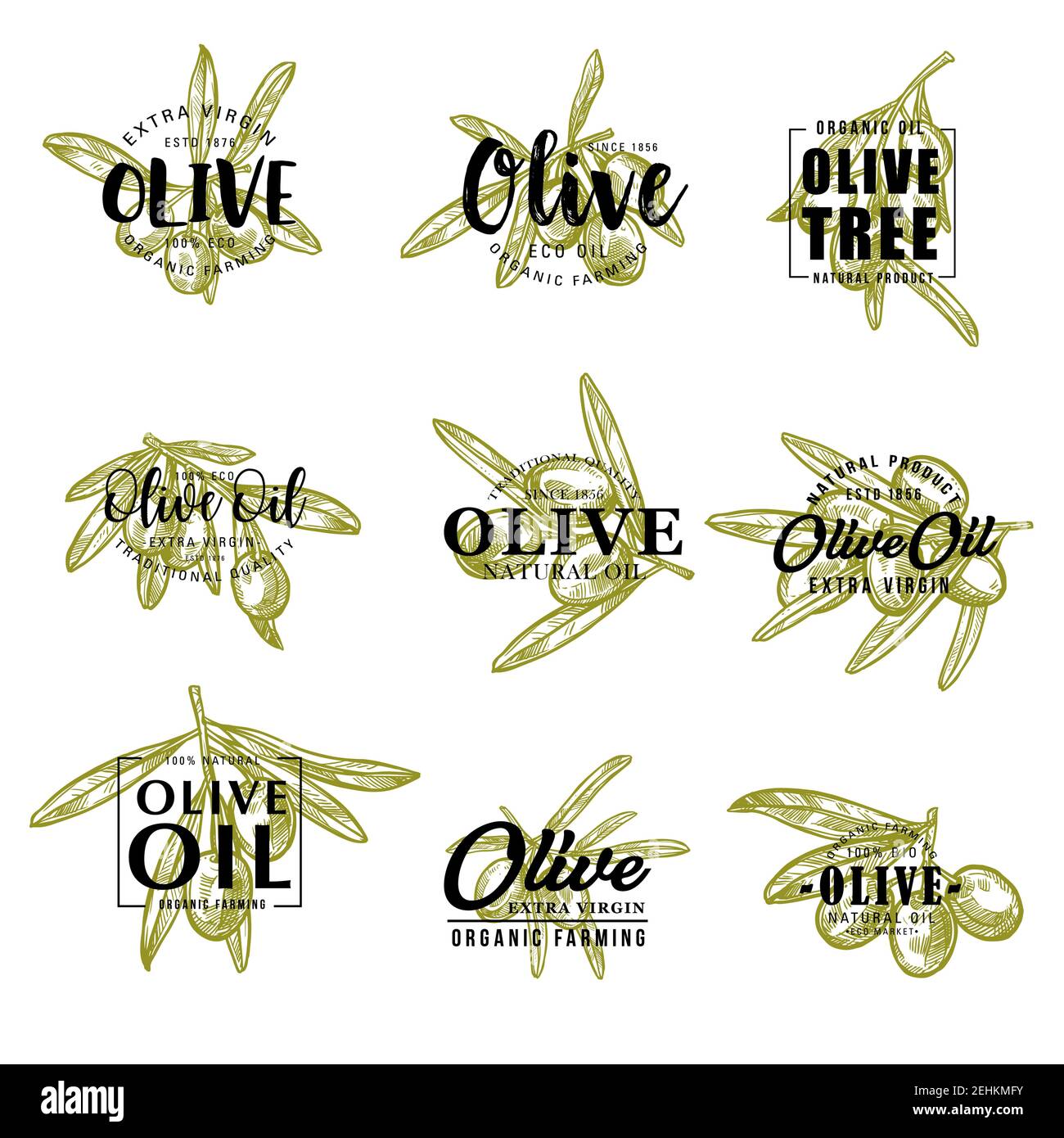 Green olives sketch lettering for olive oil product package or farm ...
