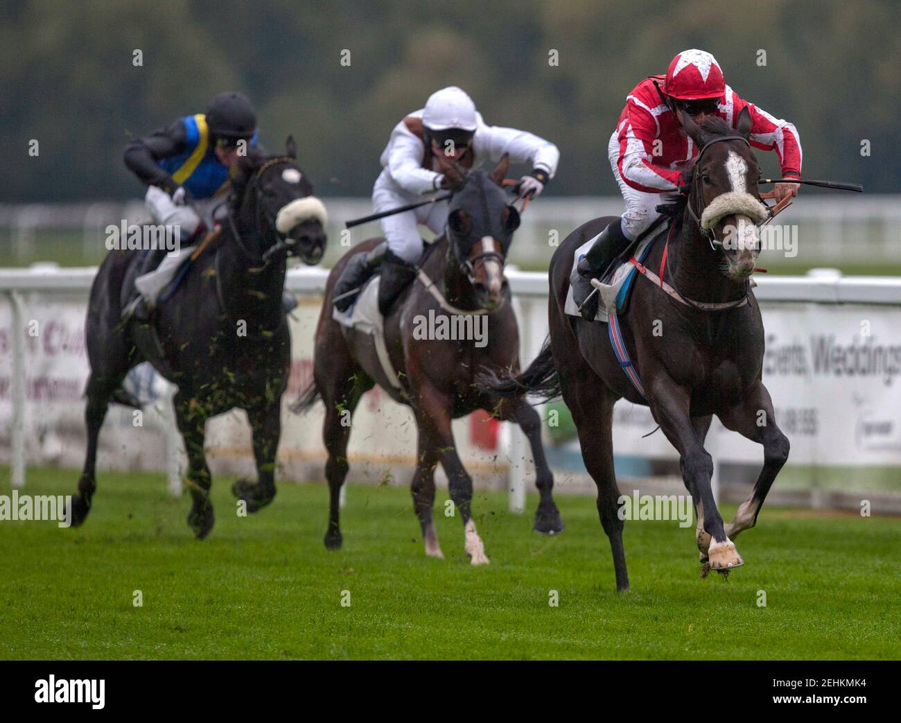 Race windsor racecourse hi-res stock photography and images - Alamy