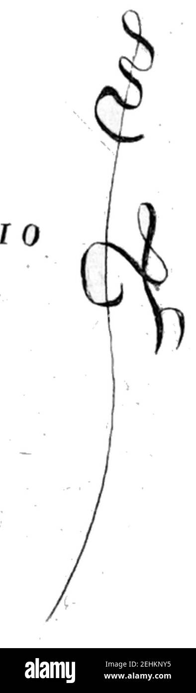 Paraphe hi-res stock photography and images - Alamy