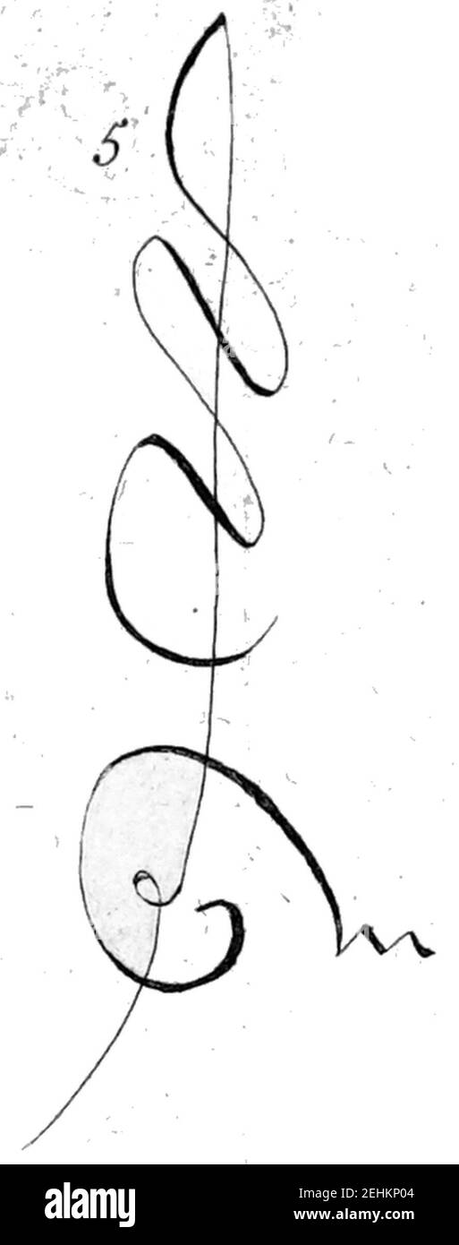 Paraphe I5 18008 Stock Photo - Alamy