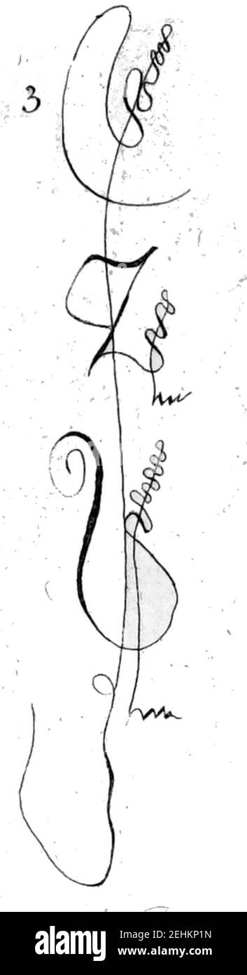 Paraphe hi-res stock photography and images - Alamy