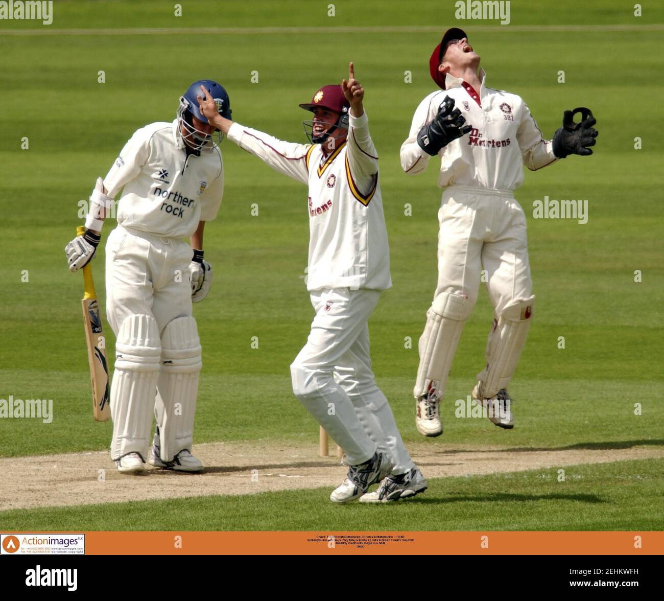 Cricket toby bailey hi-res stock photography and images - Alamy