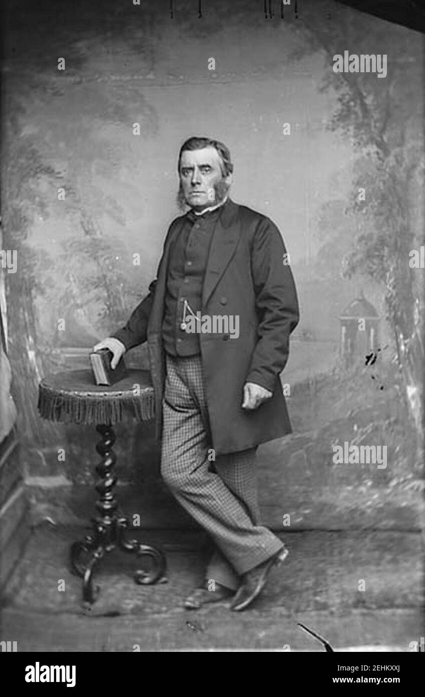 Parchg William Theophilus Thomas (Gwilym Gwenffrwd, 1824-99 Stock Photo ...