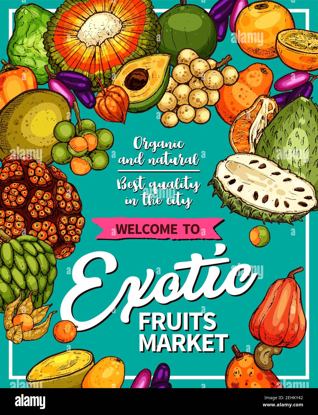Exotic fruits sketch poster for farm market. Vector design of longkong ...