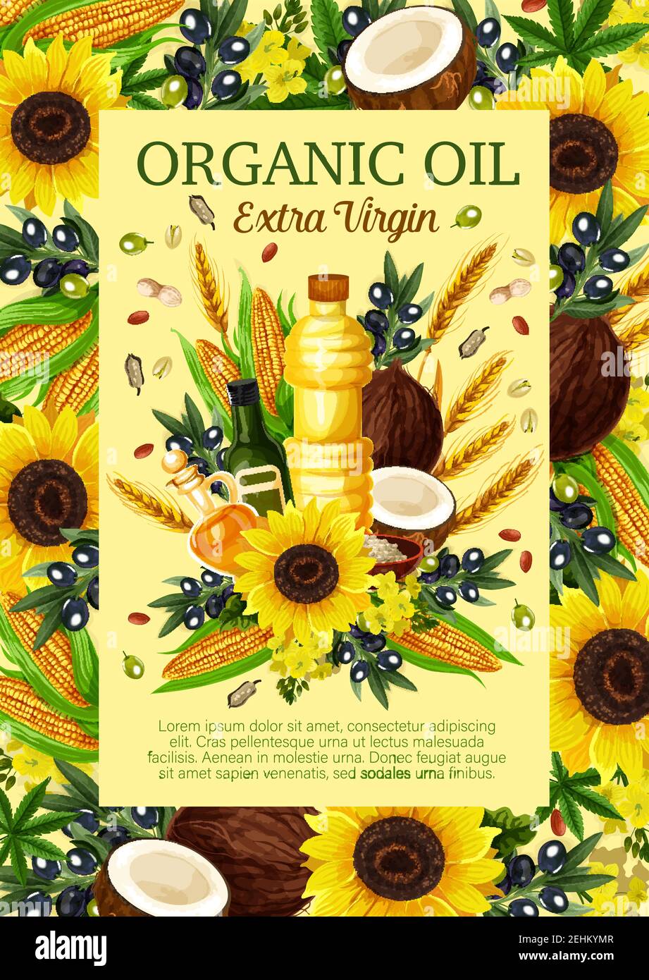 Organic oil vector. Olive branch, sunflower and corn, coconut, flax ...